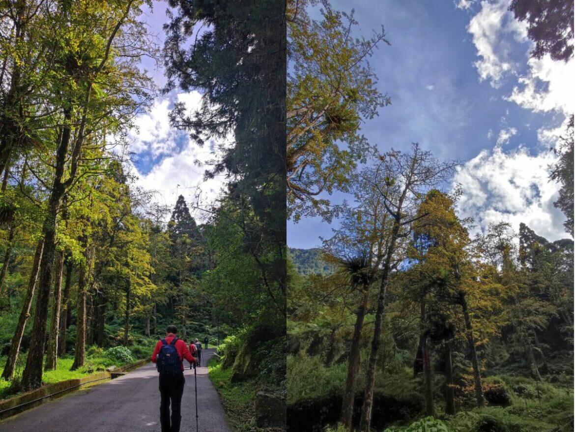 Nantou Attractions｜Xitou Forest Recreation Area Full Guide ...